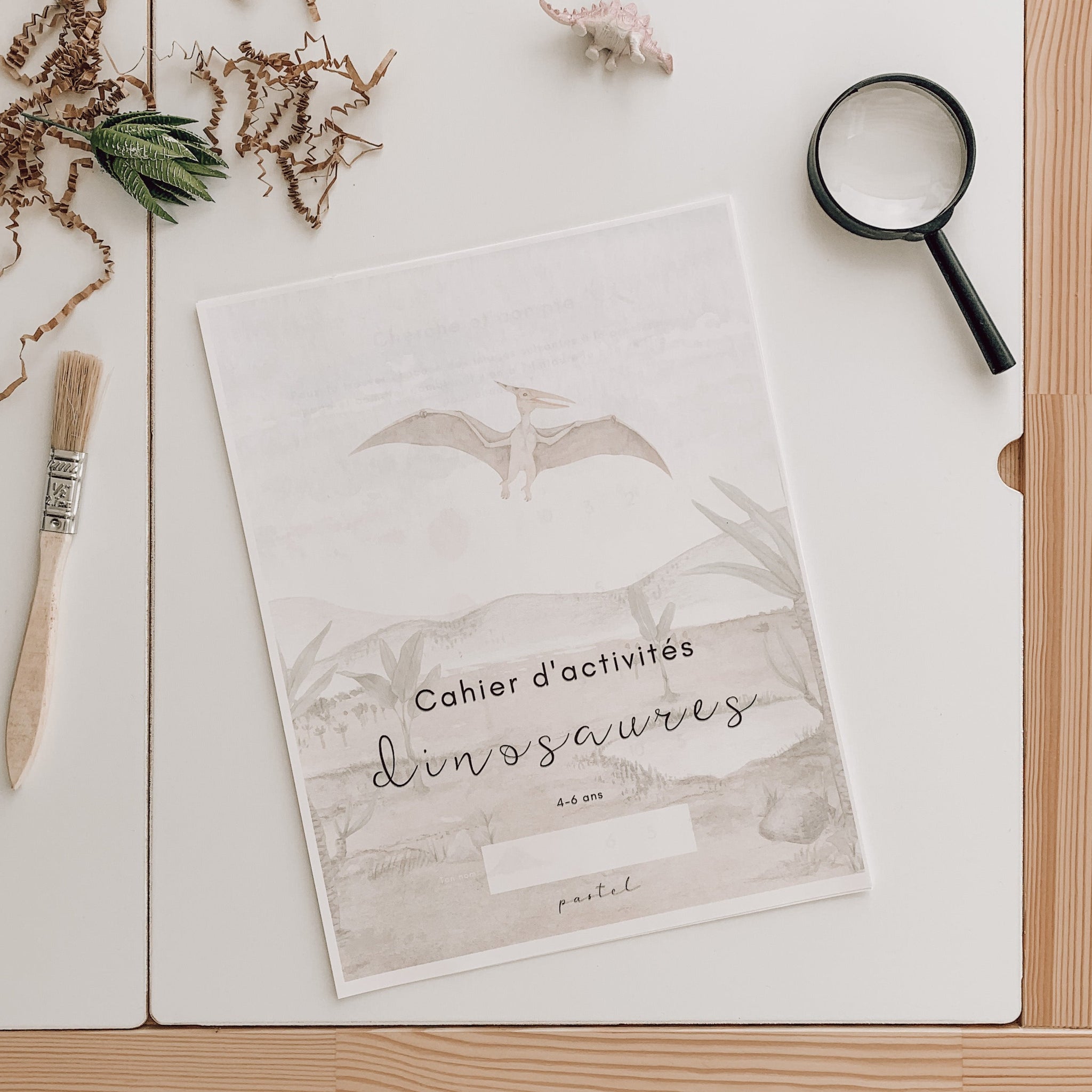 Cahier d'activités à télécharger - Dinosaures