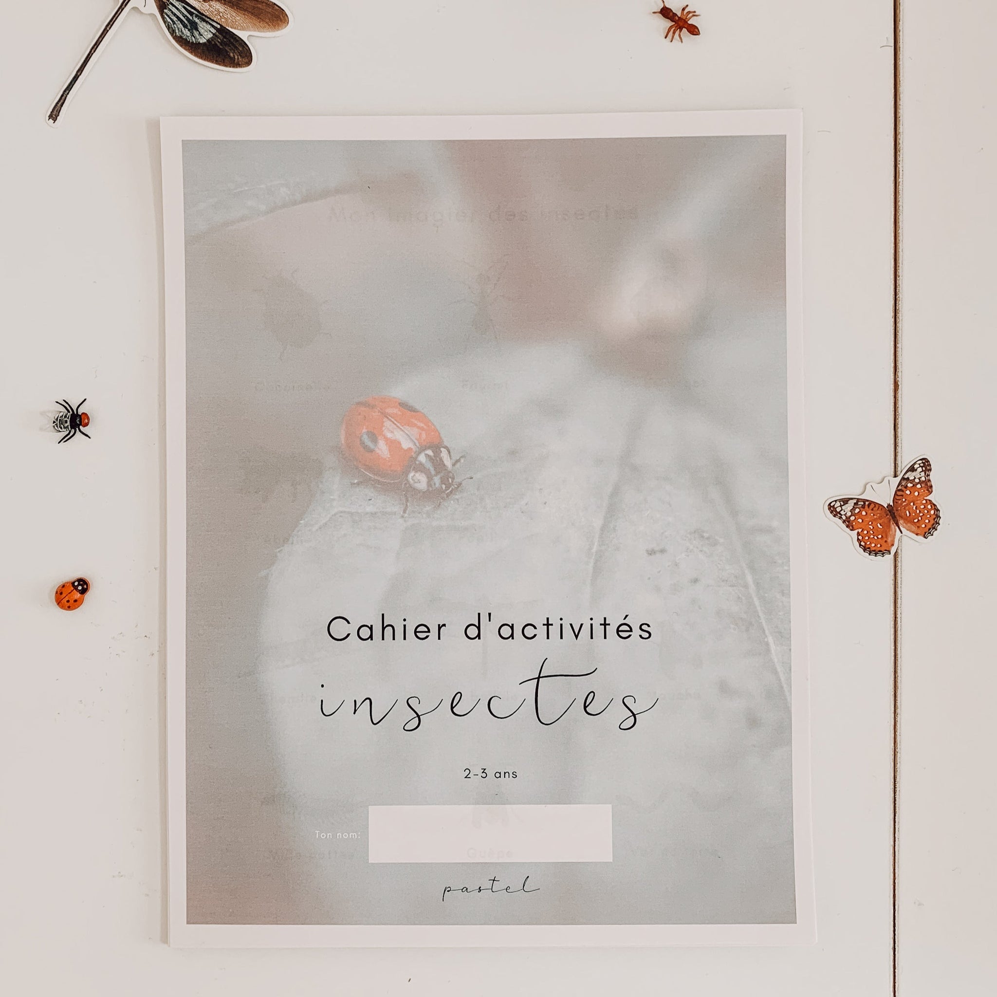 Cahier d'activités à télécharger - Insectes