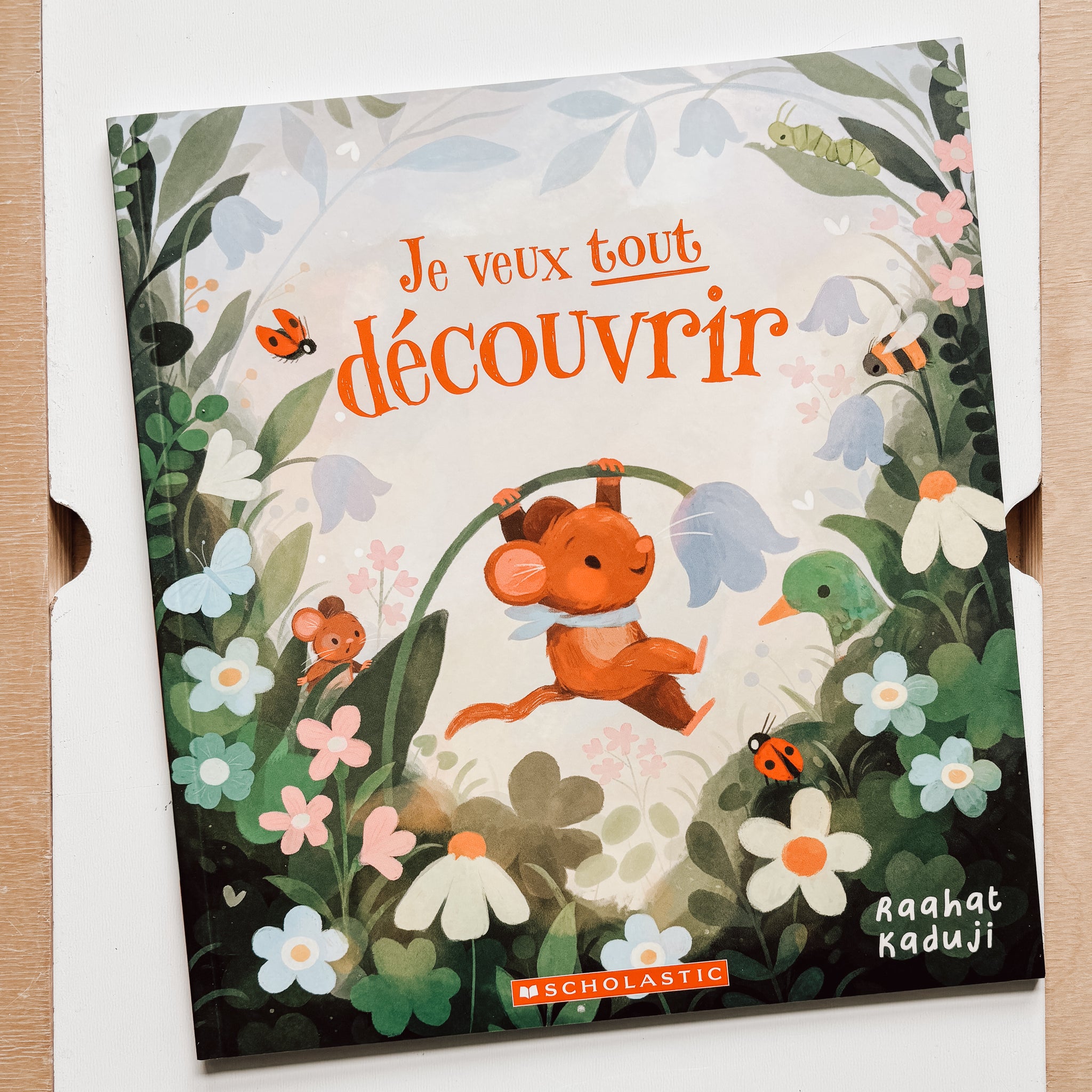 Livre d'histoire - Je veux tout décrouvrir