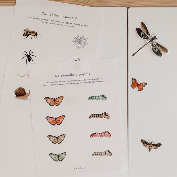 Cahier d'activités à télécharger - Insectes – Bajoue