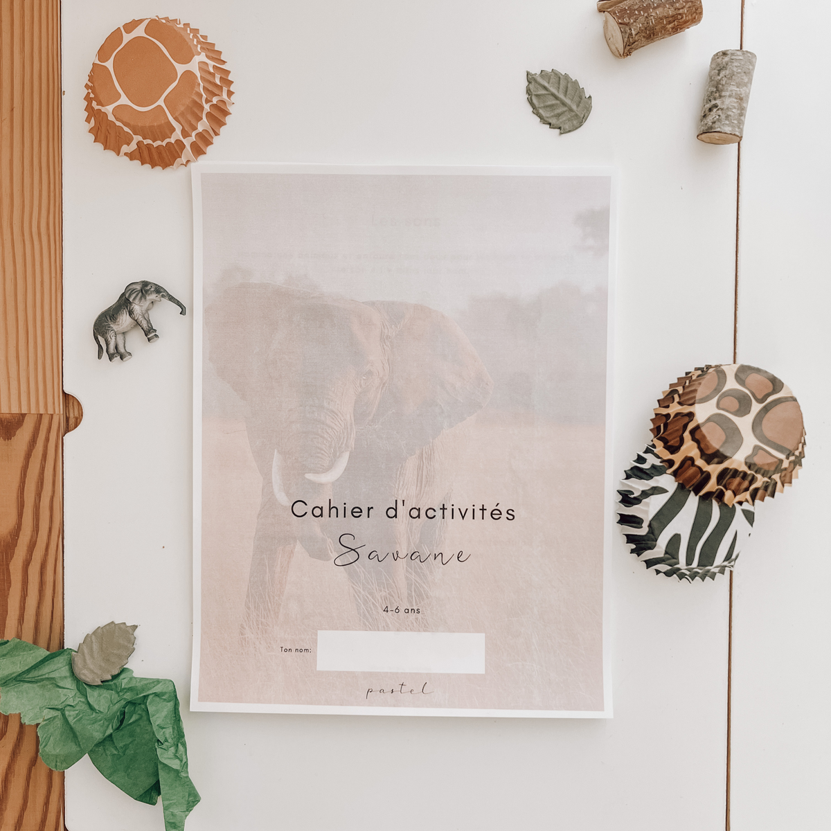 Cahier d'activités à télécharger - Savane