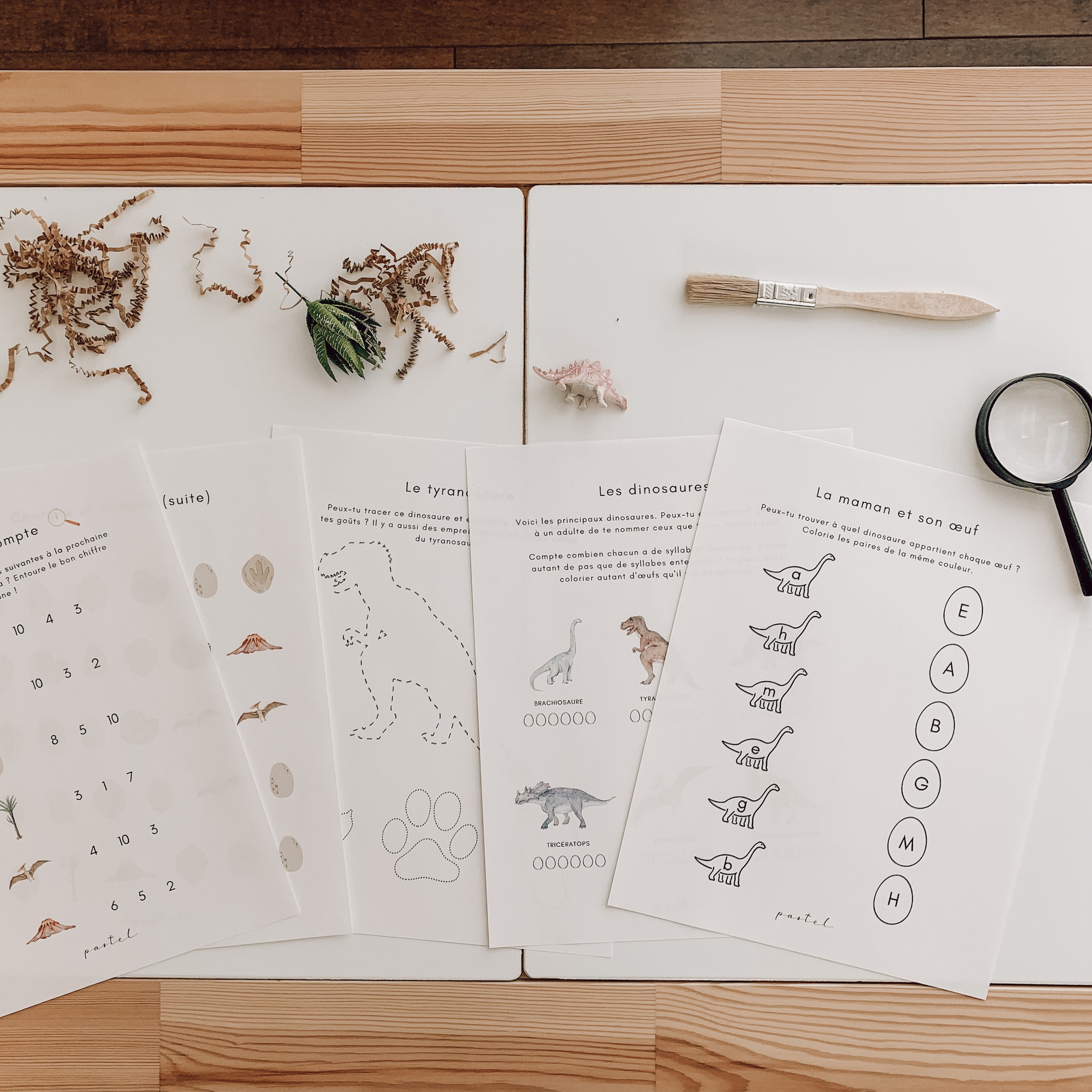 Cahier d'activités à télécharger - Dinosaures