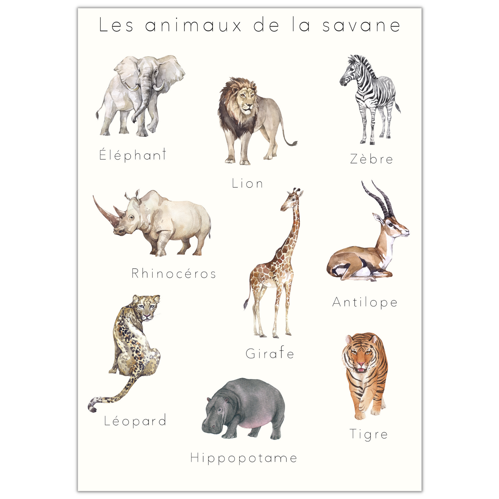 Affiche éducative & décorative "Animaux de la Savane"