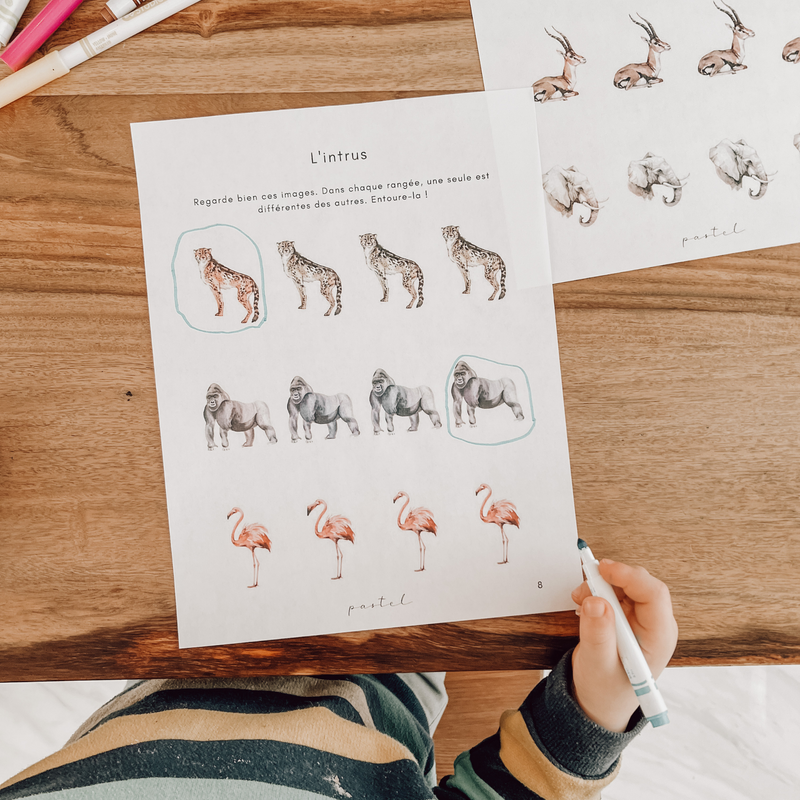 Cahier d'activités à télécharger - Savane